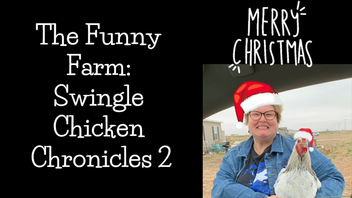 The Funny Farm: Swingle Chicken Chronicles 2 – Bitchin' Chickens