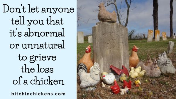 Bitchin’ Chickens Memes: 25 – Bitchin' Chickens