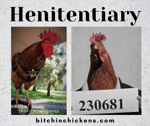 Bitchin’ Chickens Memes: 25 – Bitchin' Chickens