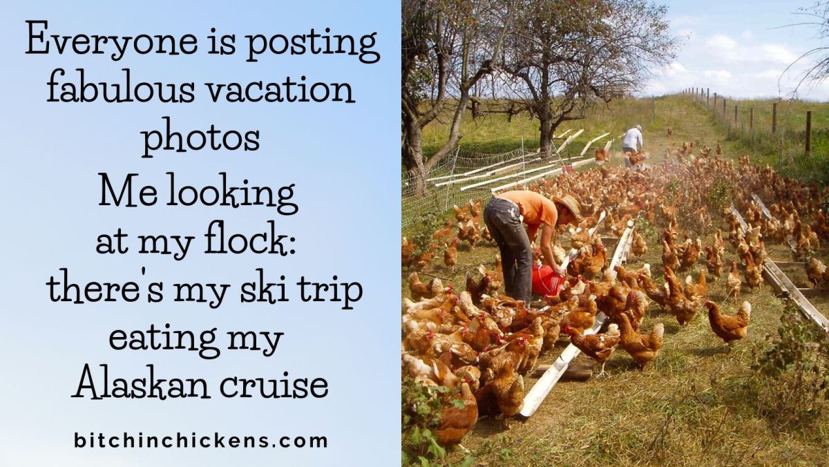 Bitchin’ Chickens Memes: 25 – Bitchin' Chickens