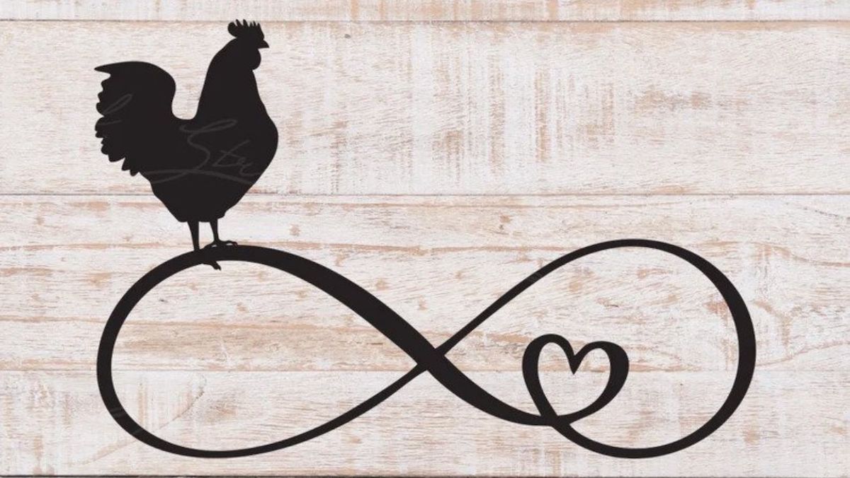 My Chicken Story: A Family’s Love – Bitchin' Chickens