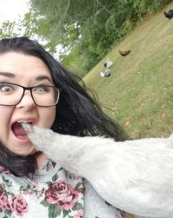 The Funny Farm: The Lighter Side Of Keeping Chickens – Bitchin' Chickens