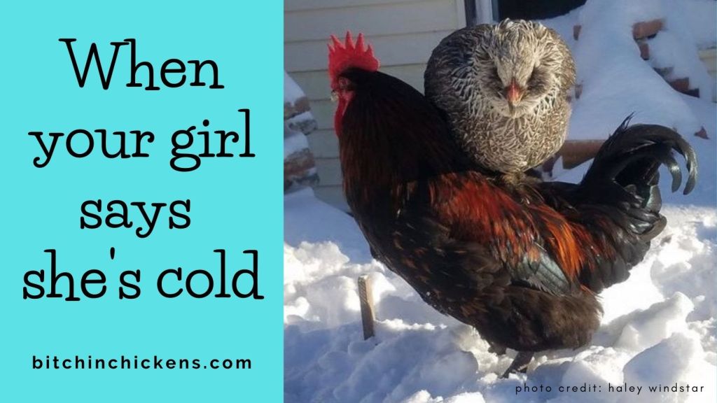 Bitchin’ Chickens Memes: 25 – Bitchin' Chickens
