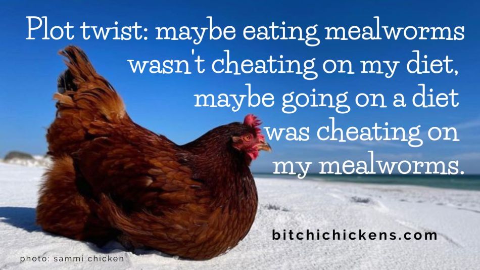 Bitchin’ Chickens Memes: 26 – Bitchin' Chickens