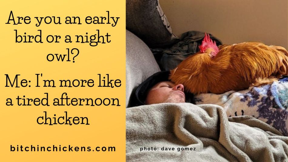 Bitchin’ Chickens Memes: 26 – Bitchin' Chickens