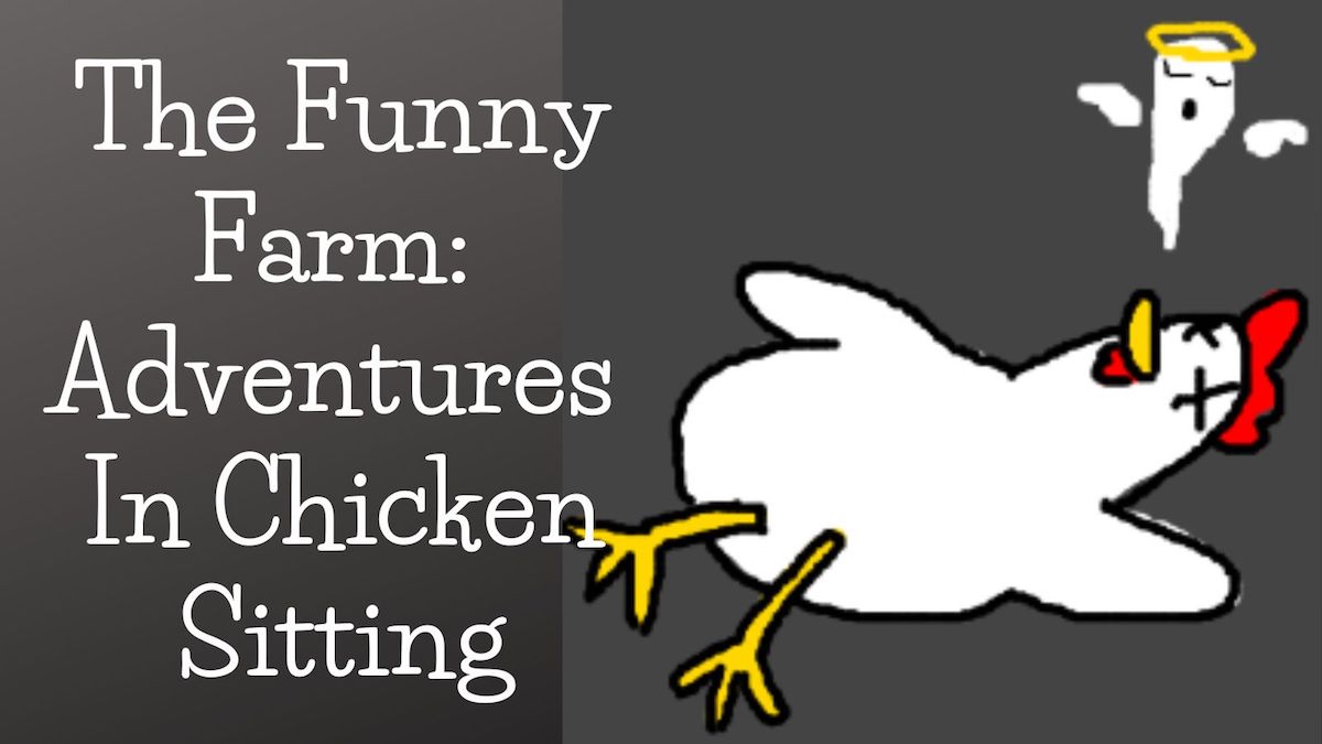 The Funny Farm: Adventures In Chicken Sitting – Bitchin' Chickens