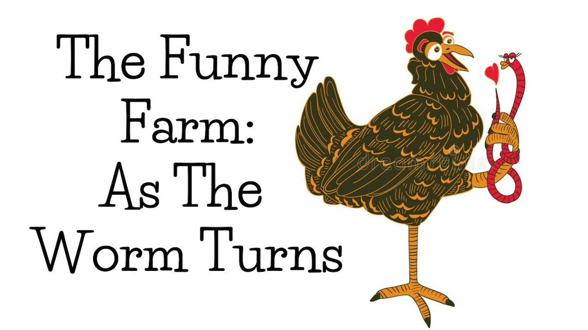 The Funny Farm: As The Worm Turns – Bitchin' Chickens