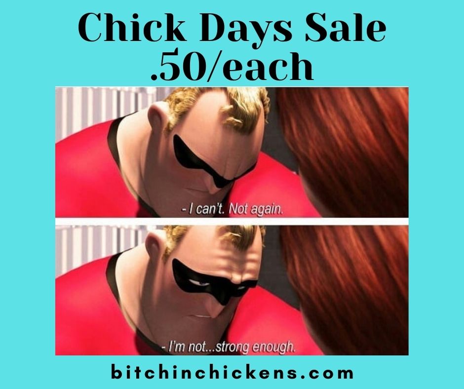 Bitchin’ Chickens Memes: 28 Chicken Math – Bitchin' Chickens