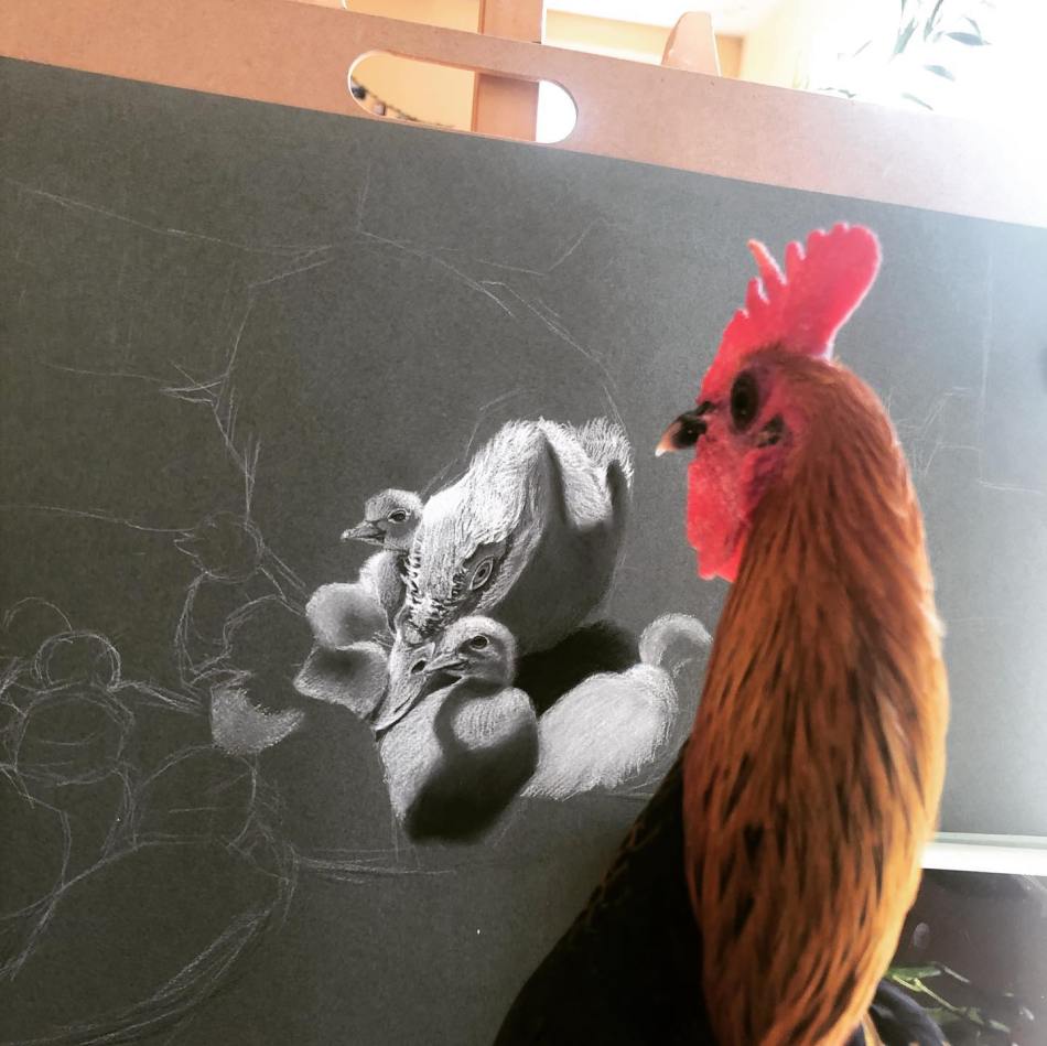 Jen Yang: Jurassic Chicken Art – Bitchin' Chickens
