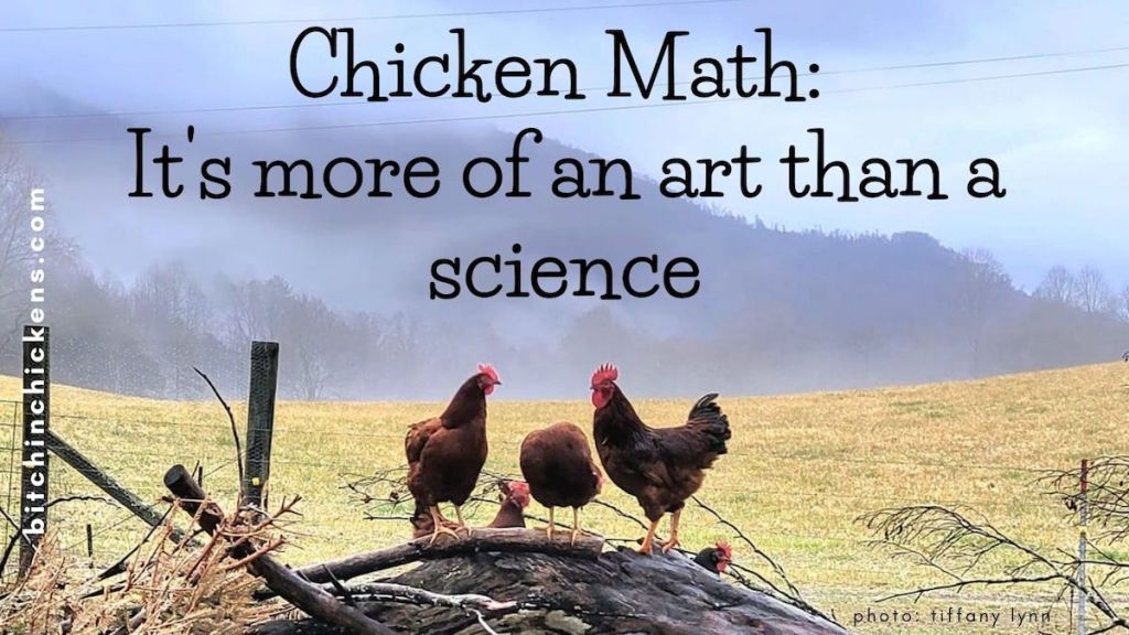 Bitchin’ Chickens Memes: 28 Chicken Math – Bitchin' Chickens