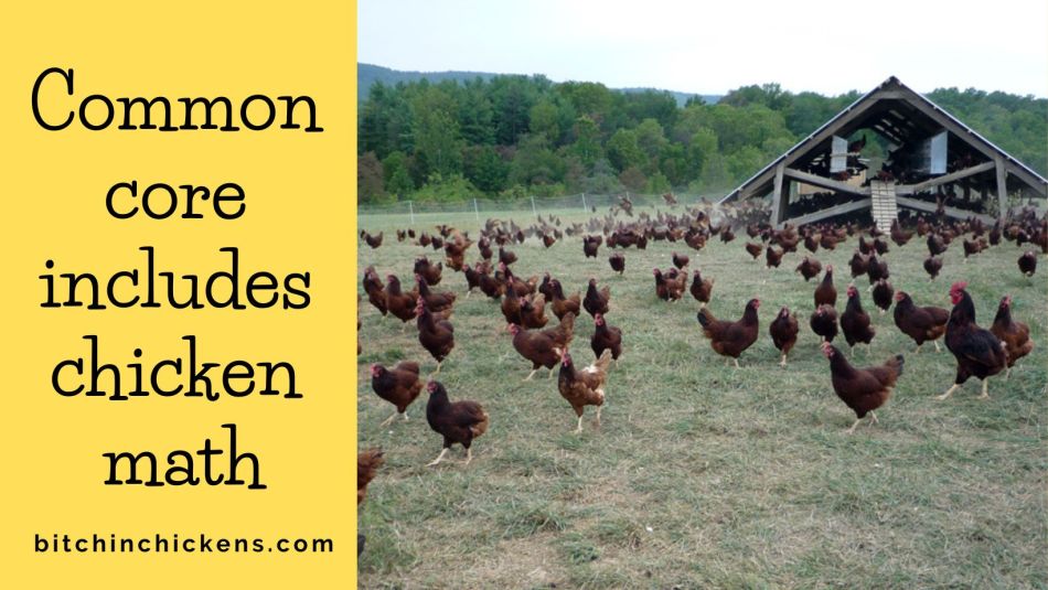 Bitchin’ Chickens Memes: 28 Chicken Math – Bitchin' Chickens