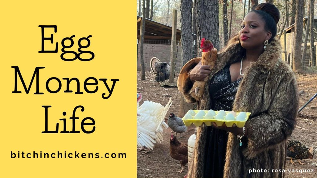 Bitchin’ Chicken Memes: 27 The BIPOC Edition – Bitchin' Chickens