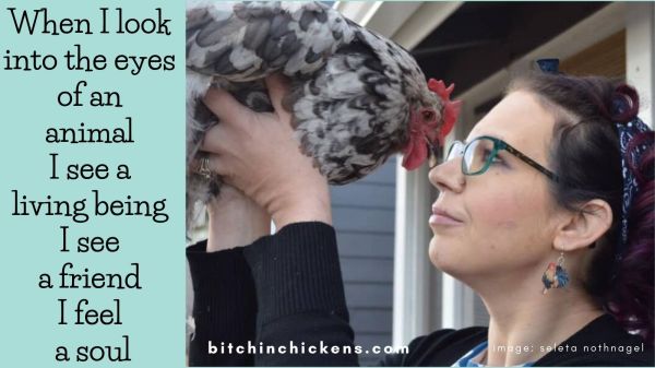 Bitchin’ Chickens Memes: 29 – Bitchin' Chickens