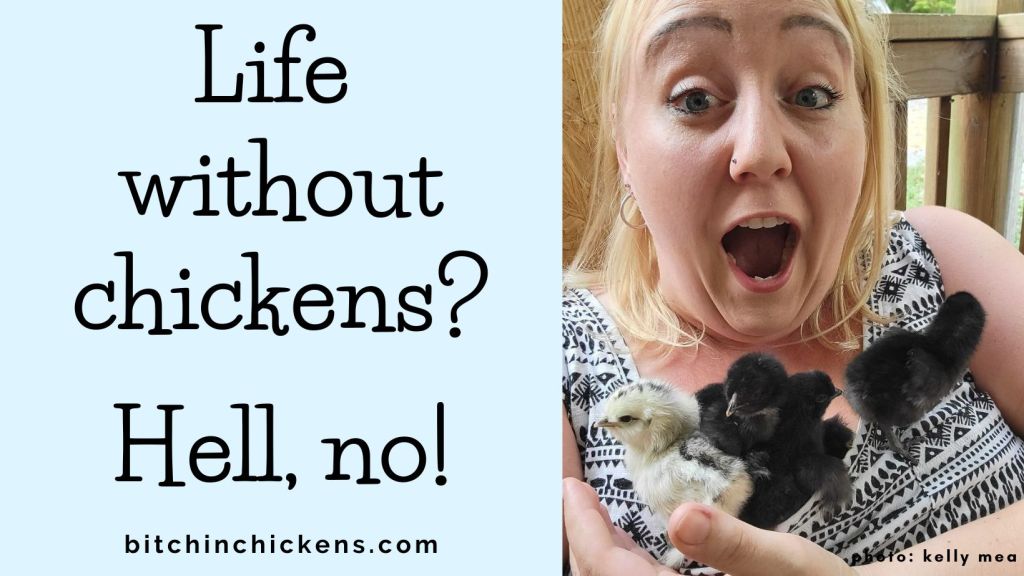 Bitchin’ Chickens Memes: 29 – Bitchin' Chickens