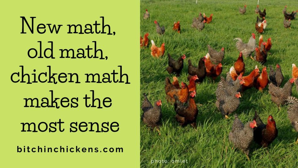 Bitchin’ Chickens Memes: 28 Chicken Math – Bitchin' Chickens