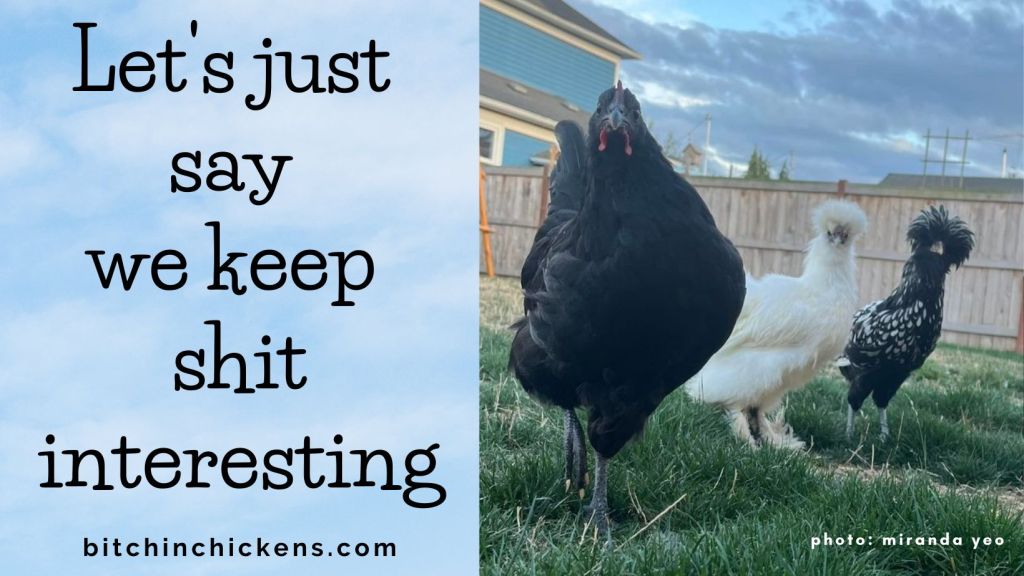 Bitchin’ Chickens Memes: 29 – Bitchin' Chickens