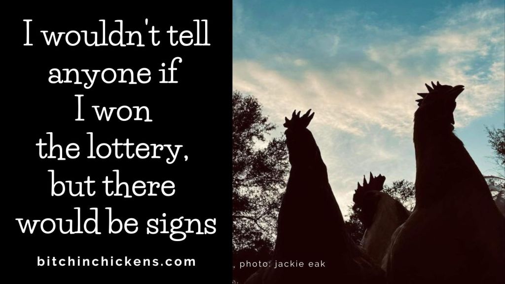 Bitchin’ Chickens Memes: 28 Chicken Math – Bitchin' Chickens