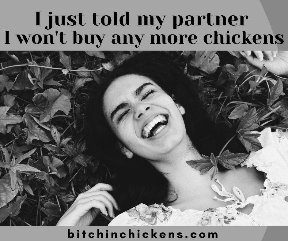 Bitchin’ Chickens Memes: 28 Chicken Math – Bitchin' Chickens