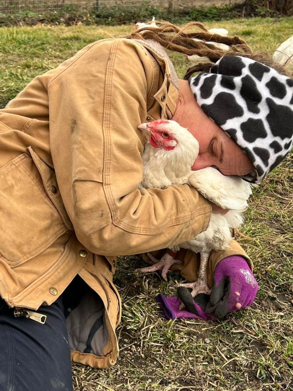 Tikkun Olam Farm Sanctuary: Where Chickens Go To Thrive – Bitchin' Chickens