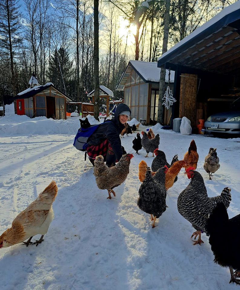 Chicken Coop Compound: When A Family Goes All Out – Bitchin' Chickens