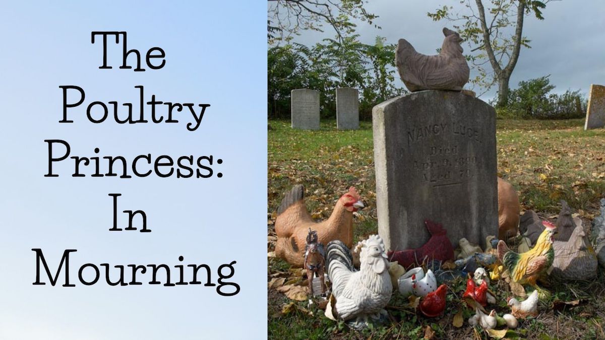 The Poultry Princess: In Mourning – Bitchin' Chickens