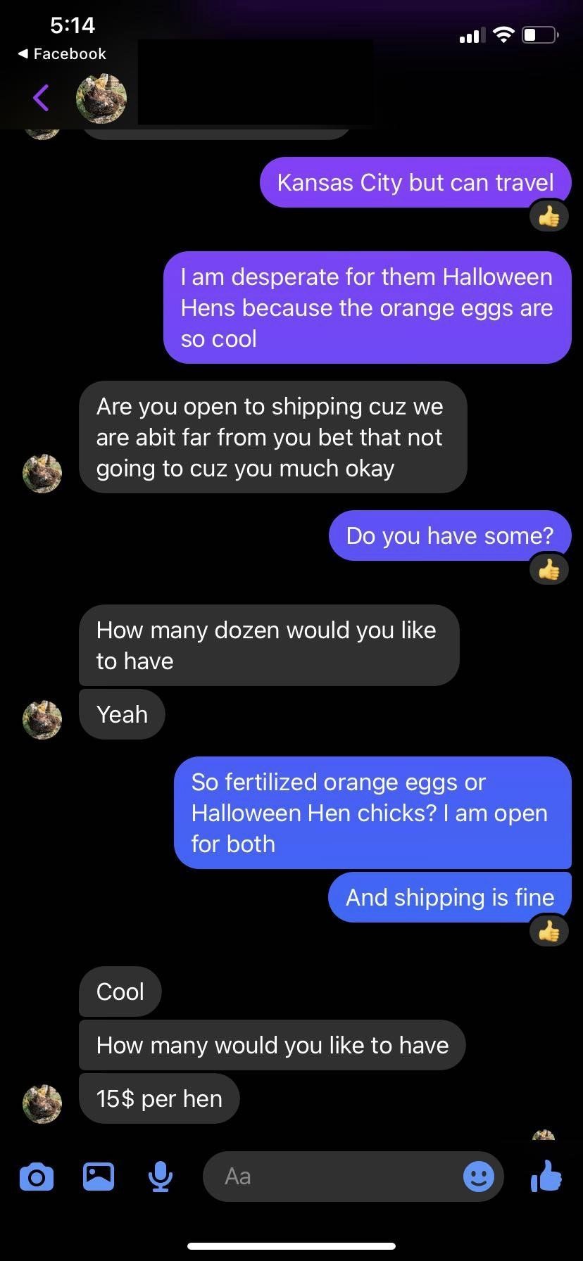 Dealing With Online Chicken Scams – Bitchin' Chickens