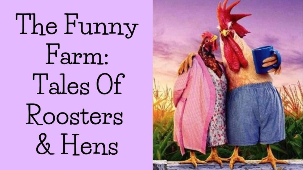 The Funny Farm: Tales Of Roosters & Hens – Bitchin' Chickens