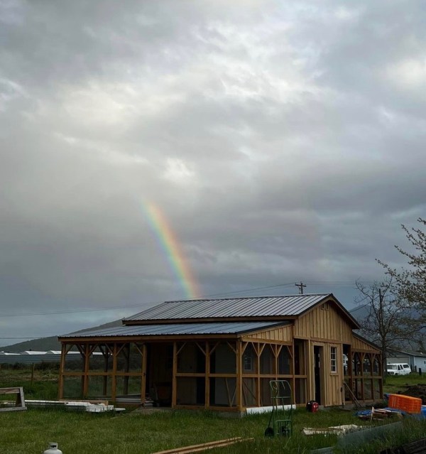 Tikkun Olam Farm Sanctuary: Where Chickens Go To Thrive – Bitchin' Chickens