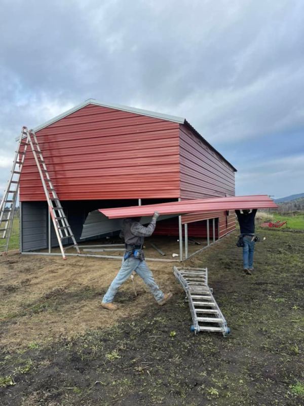 Tikkun Olam Farm Sanctuary: Where Chickens Go To Thrive – Bitchin' Chickens