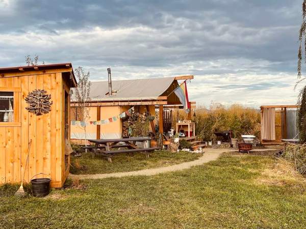 Tikkun Olam Farm Sanctuary: Where Chickens Go To Thrive – Bitchin' Chickens