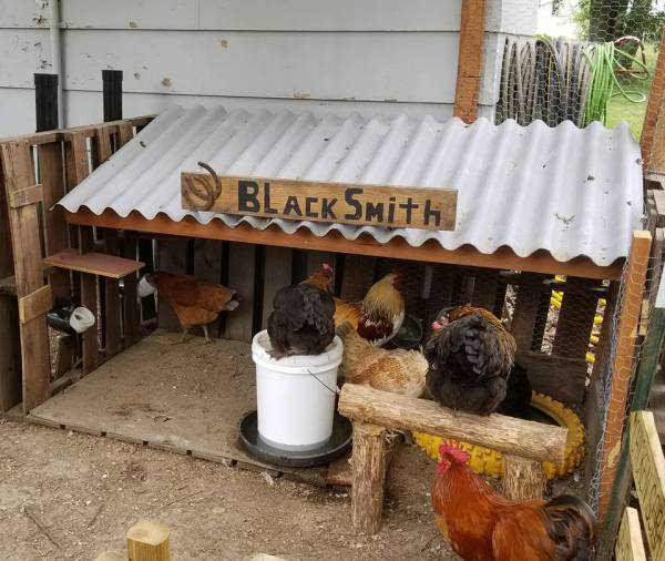 Coop Town: Western-Themed Chicken Coops – Bitchin' Chickens