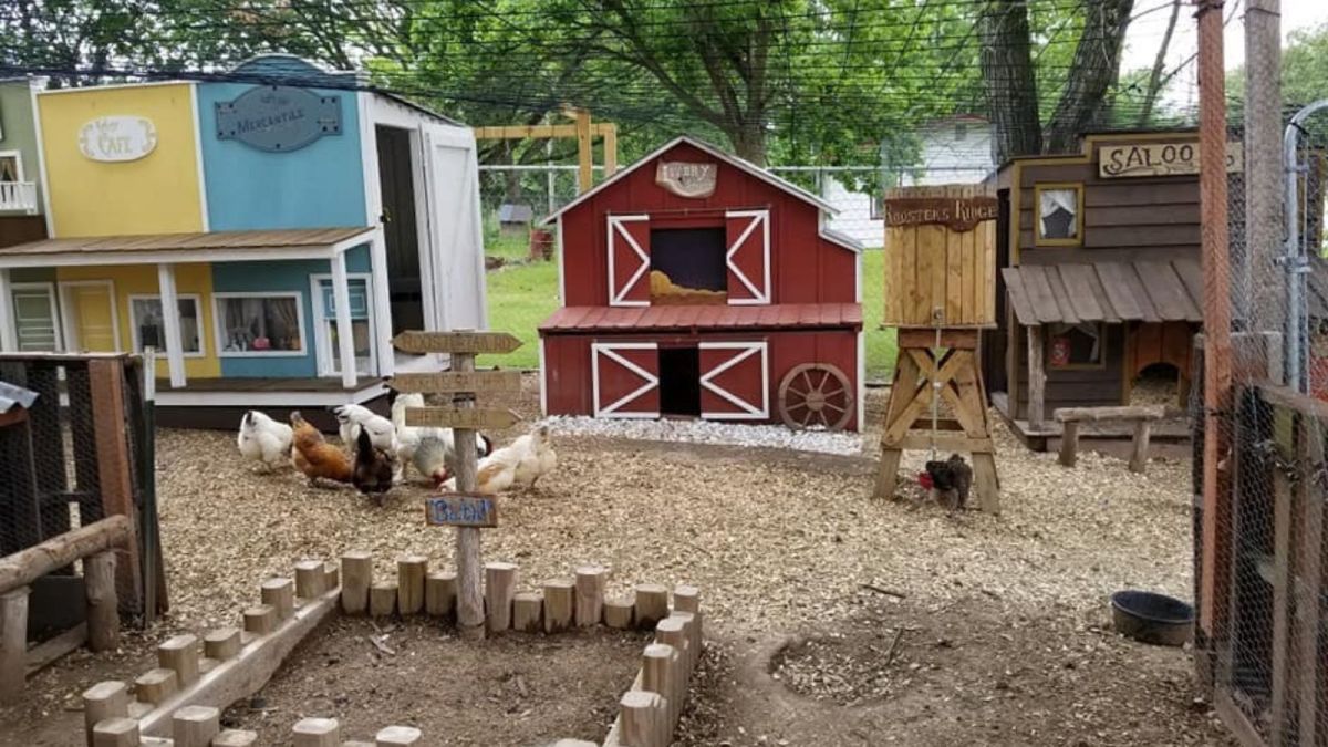 Old Time Chicken Co Op Designs Chicken Coop Ideas (110 IDEAS)