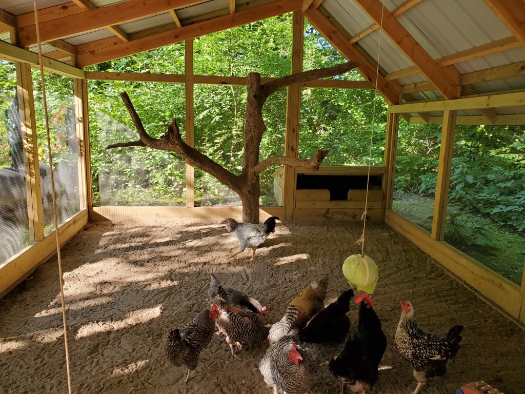 Log Cabin Chicken Coop – Bitchin' Chickens