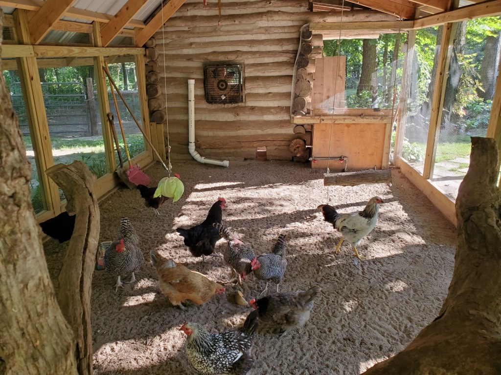 Log Cabin Chicken Coop – Bitchin' Chickens