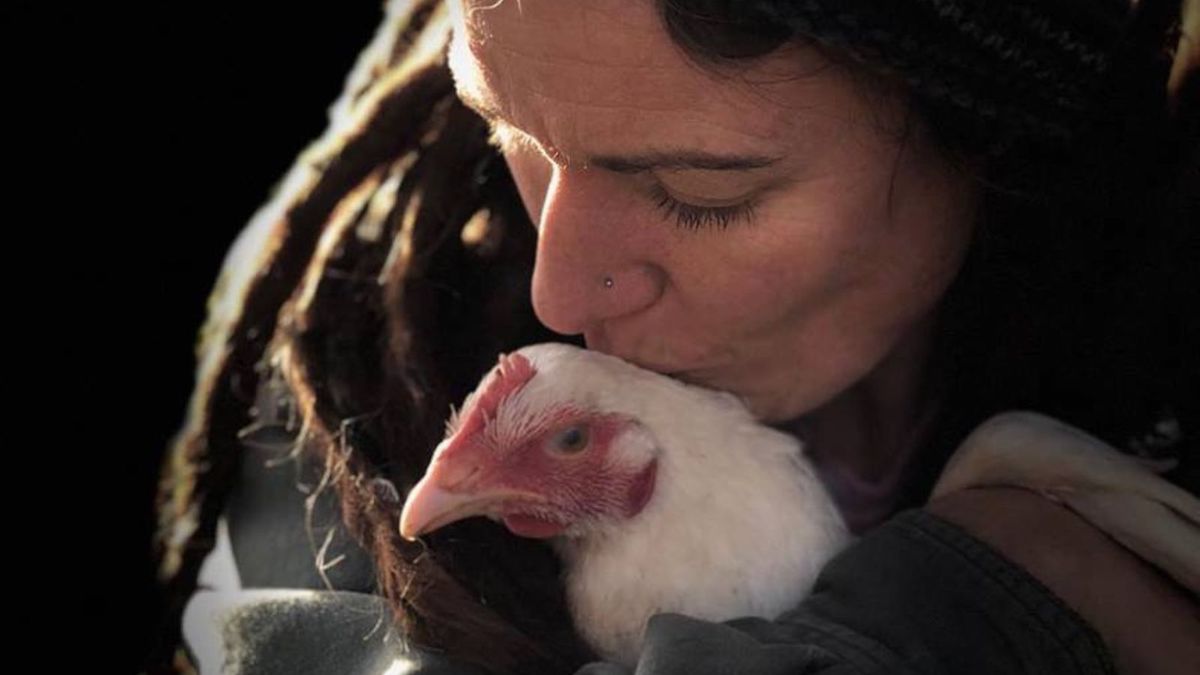 Bitchin' Chickens – Everything You Need To Know About Backyard Chickens ...