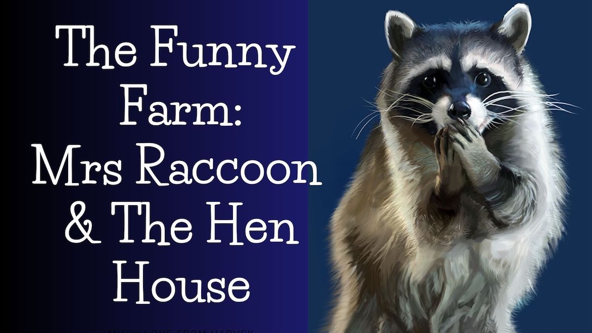 The Funny Farm: Mrs Raccoon & The Hen House – Bitchin' Chickens