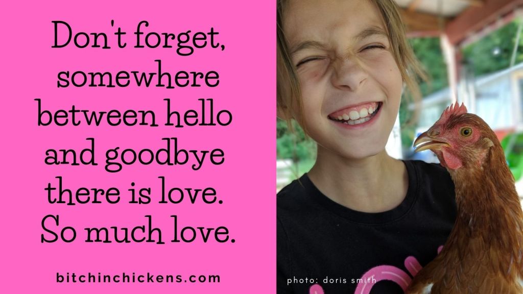 A Chicken Keeper’s Grief & Loss: 2 – Bitchin' Chickens
