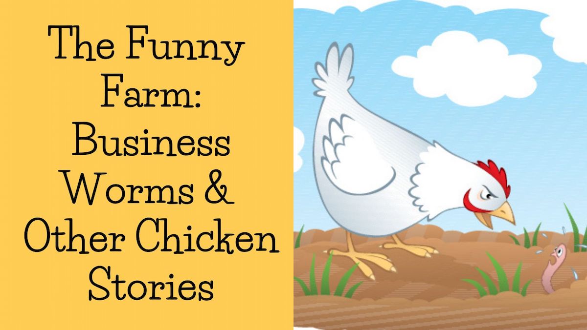 The Funny Farm: Business Worms & Other Chicken Stories – Bitchin' Chickens