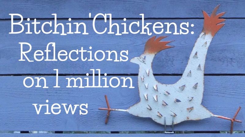 Bitchin' Chickens – Everything You Need To Know About Backyard Chickens ...
