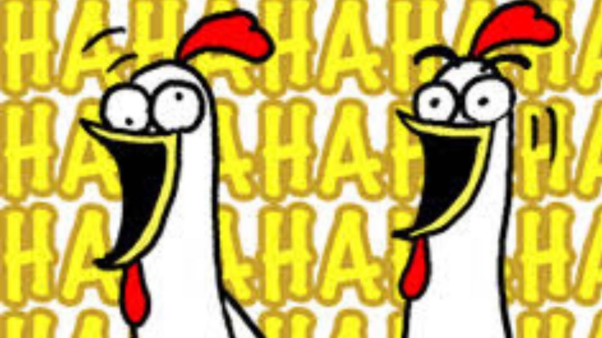 The Funny Farm: Get Chickens They Said, It’ll Be Fun … – Bitchin' Chickens