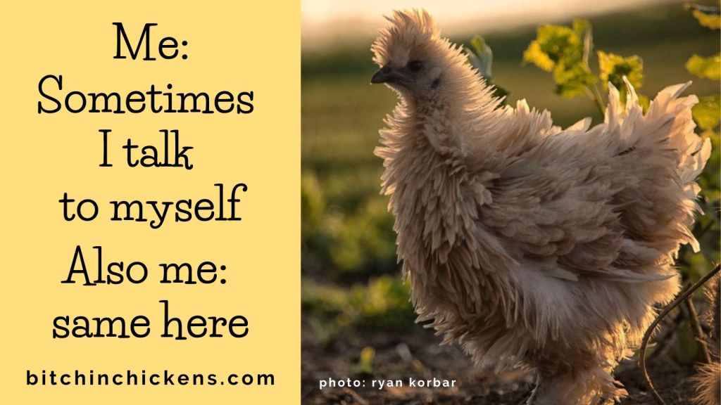 Bitchin’ Chickens Memes: 31 – Bitchin' Chickens