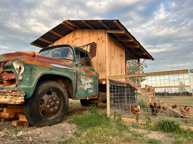 Western Belle Repurposed Truck Chicken Coop – Bitchin' Chickens