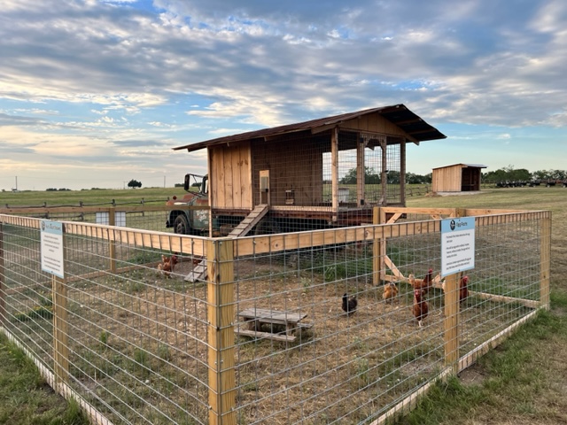 Western Belle Repurposed Truck Chicken Coop – Bitchin' Chickens