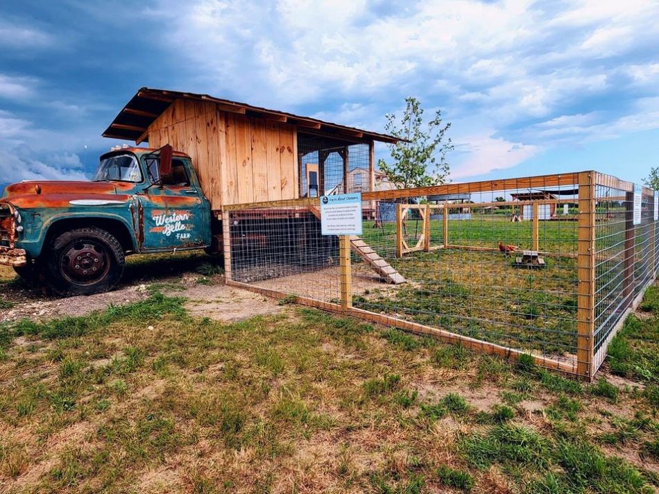 Western Belle Repurposed Truck Chicken Coop – Bitchin' Chickens