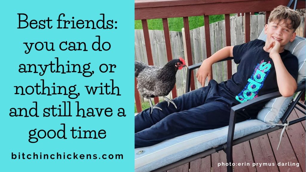 Bitchin’ Chickens Memes: 34 – Bitchin' Chickens