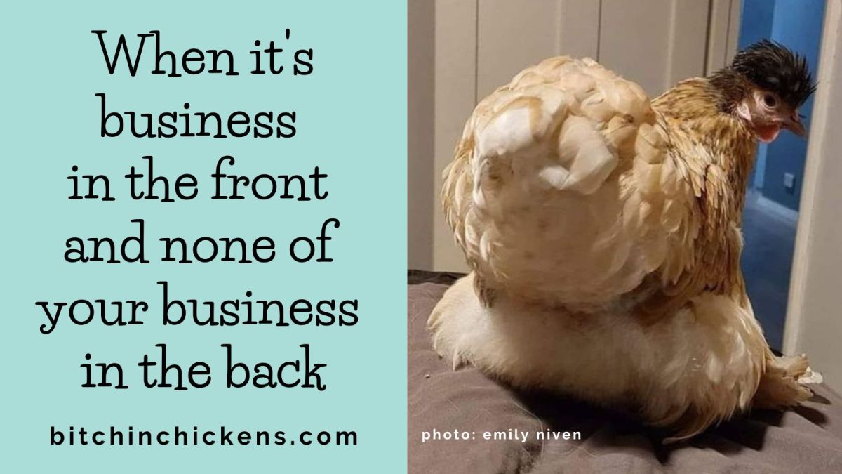 Bitchin’ Chickens Memes: 34 – Bitchin' Chickens