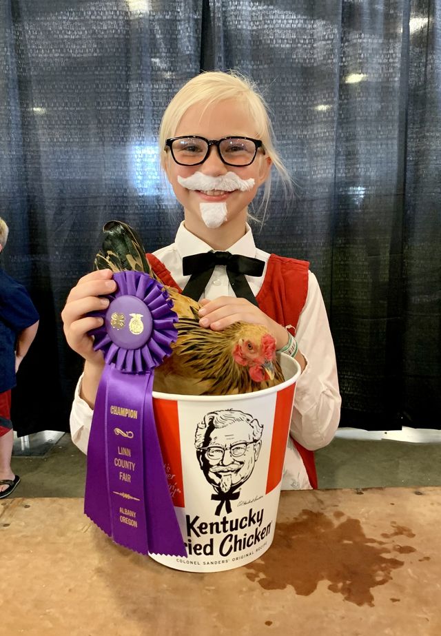 The Funny Farm: From Chickens To Crickets – Bitchin' Chickens