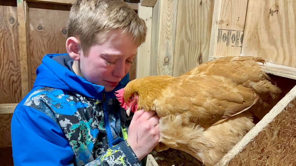 The Poultry Princess: In Mourning – Bitchin' Chickens