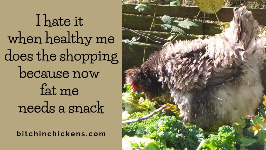 Bitchin’ Chickens Memes: 33 – Bitchin' Chickens