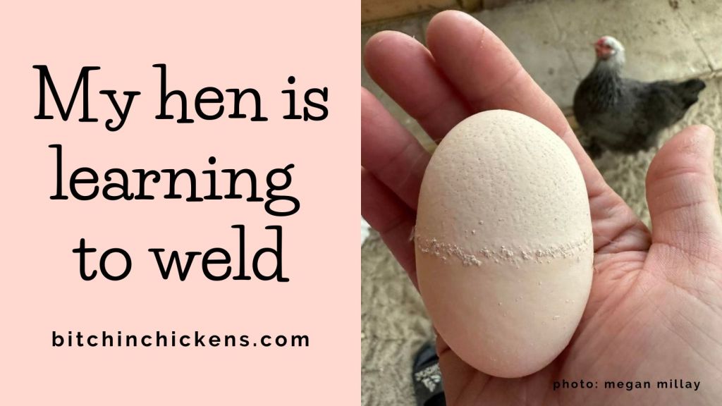 Bitchin’ Chickens Memes: 34 – Bitchin' Chickens